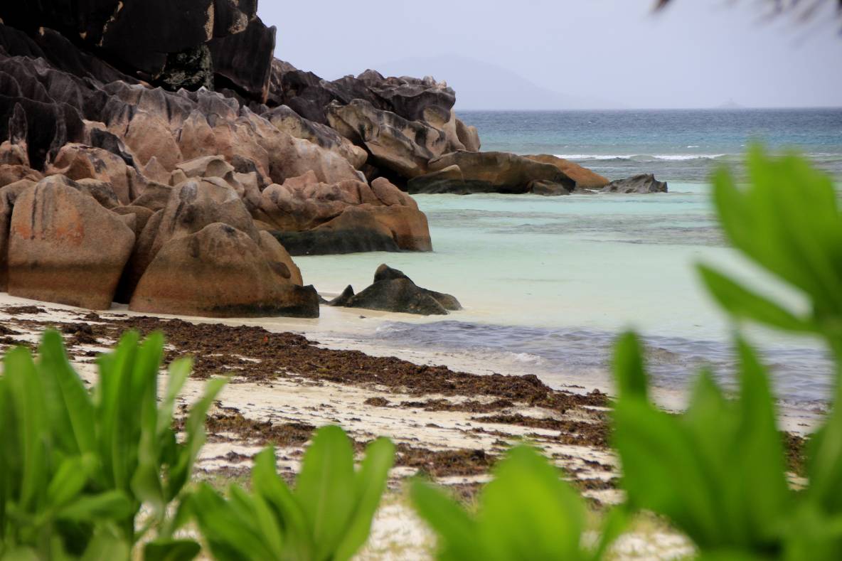 4 jours sur l’île de Praslin aux Seychelles - Papatêteenbas