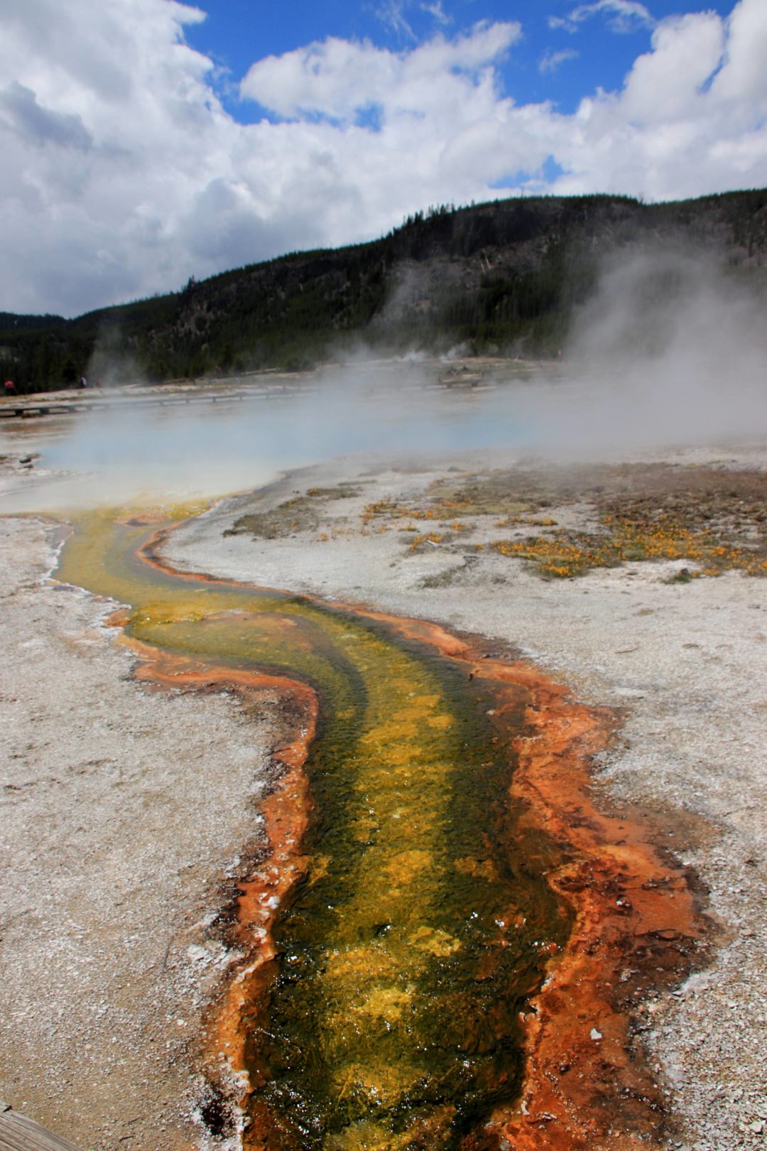 4 jours à Yellowstone - Papatêteenbas